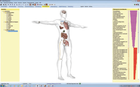 Vitalfeldmessung mit VITATEC | Blog mga Physio- & Osteopathie